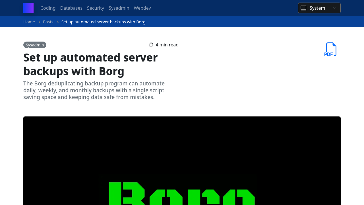 Set up automated server backups with Borg